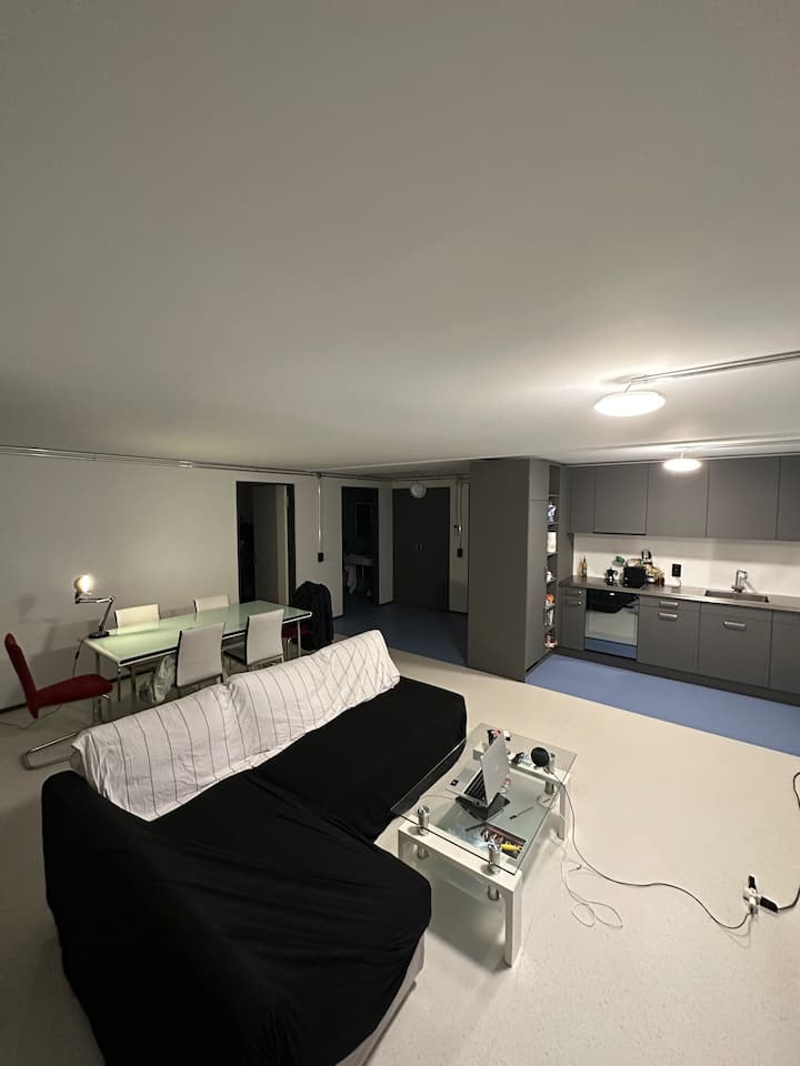 Comfortable Apartment In Zurich - Zürich
