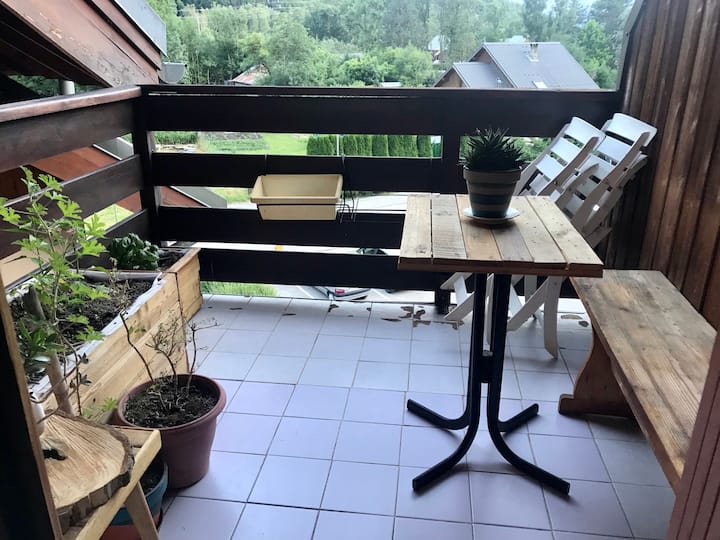 Appartement Idéalement Situé - Allemond