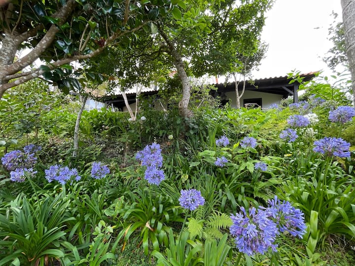 Villa H T3 (Casas Do Pomar) - Santana