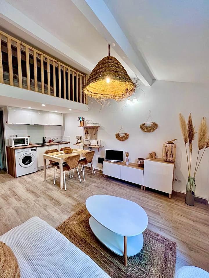 Bel Appart Climatisé 38m2 à 250m De La Plage. - Calvi