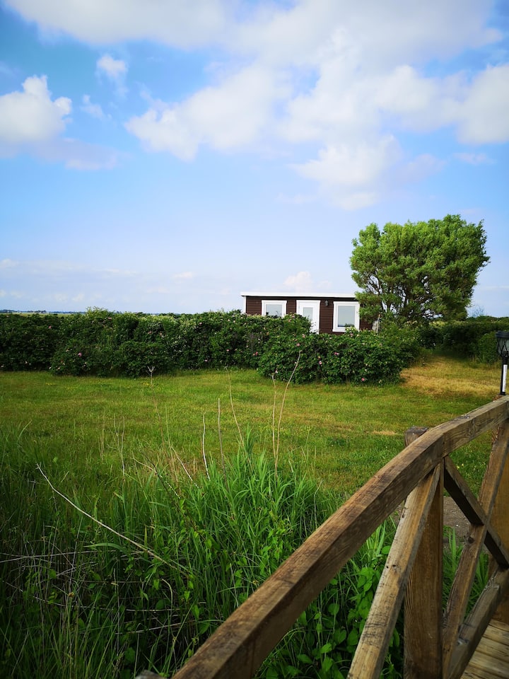 Lilla Hammar Lena - Höllviken
