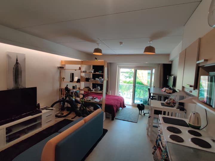 Cozy Apartment, @Center Joensuu - Joensuu