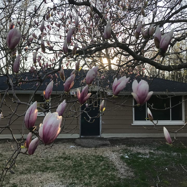 Magnolia House - Lake Michigan Beach, MI
