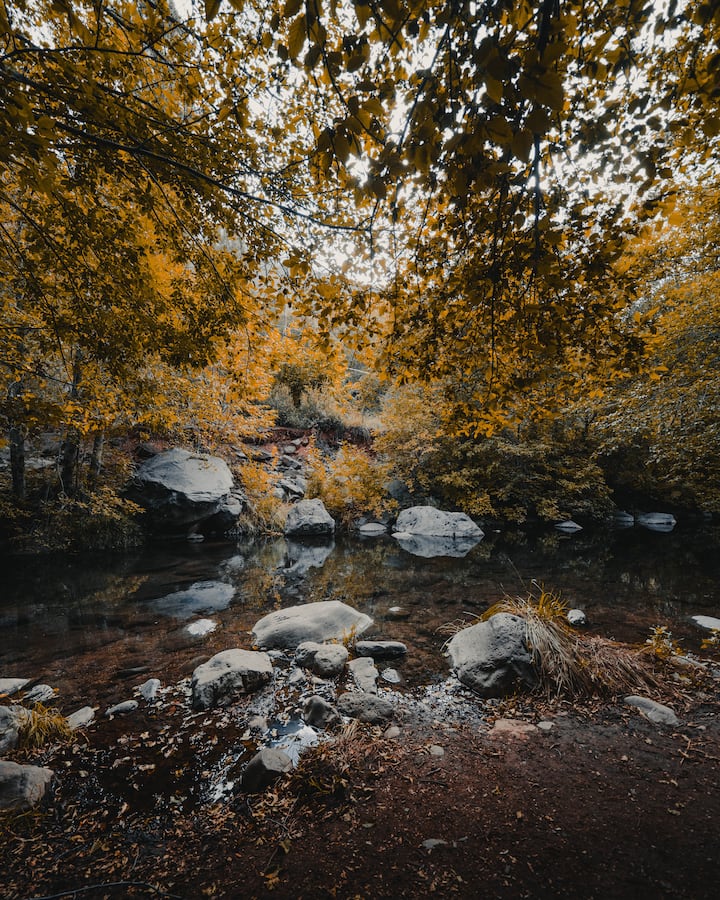 Creekside Antique Cabin For 2 - Oak Creek Canyon, AZ