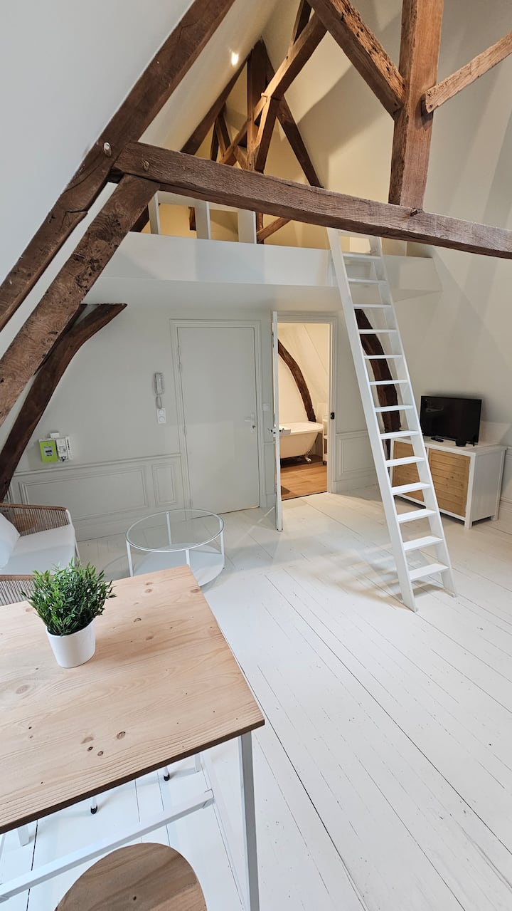 Le Perchoir, Studio Avec Mezzanine - Arras