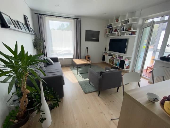 City Park Apartment - Vilnius