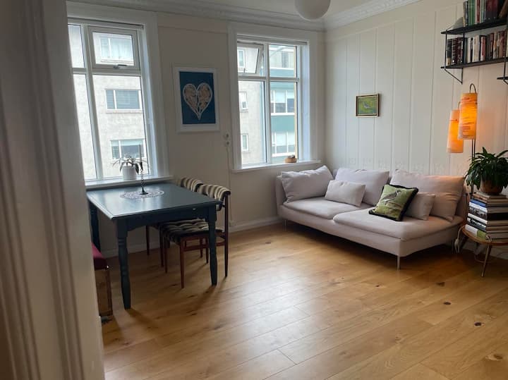 A Cozy Downtown Home - Reykjavík