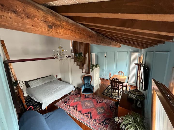 Elegante Alloggio In Casa Storica-borgo Portello - Padua