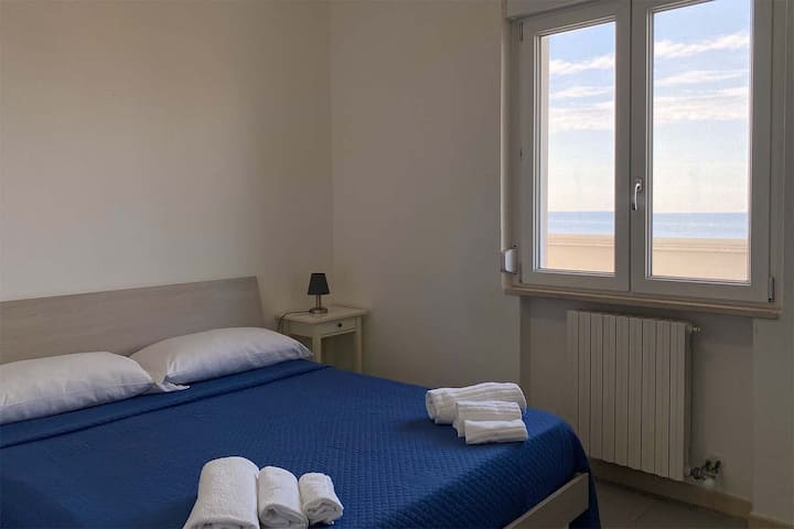 Primula - Taranto