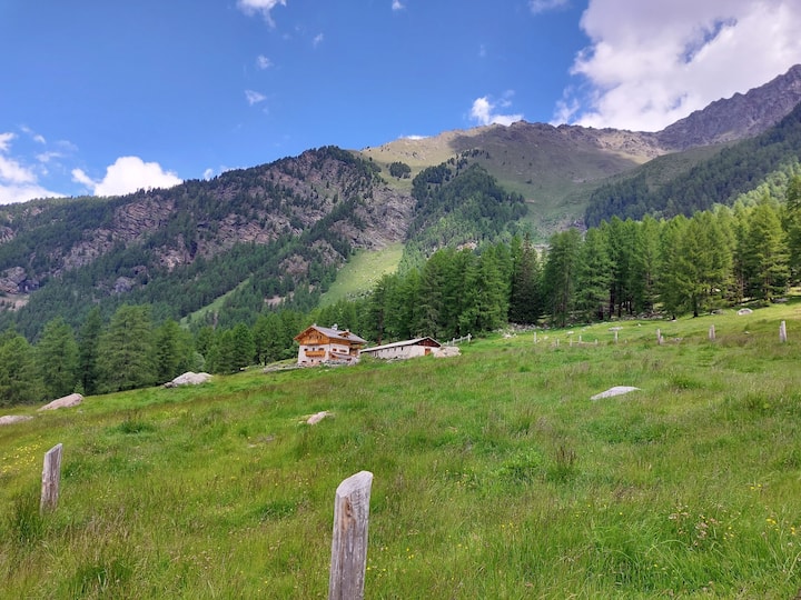 Agriturismo Malga Pontevecchio - Monolocale - Cogolo