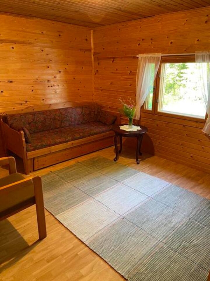 Mökki Järven Rannalla - Finland