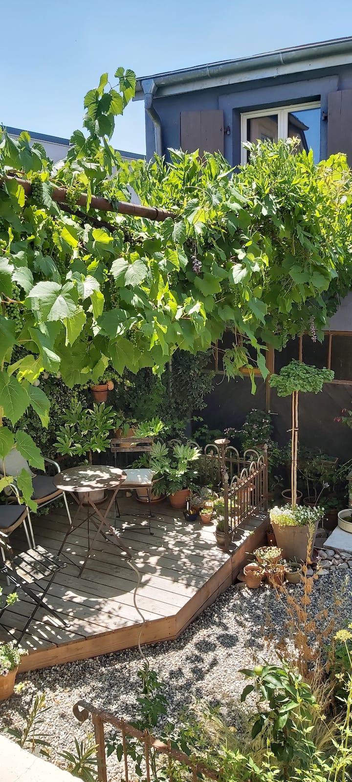 Logement Indépendant - Colmar