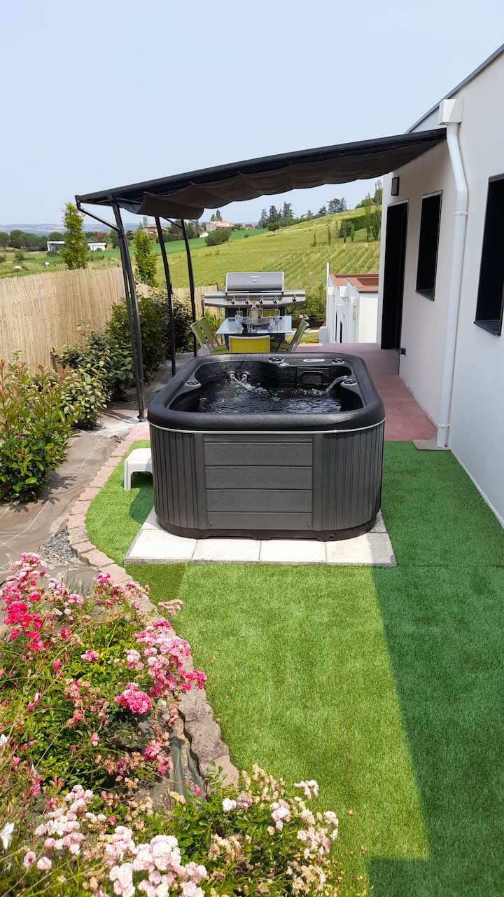 Villa Ginkgo Et Son Spa Privatif - Albi