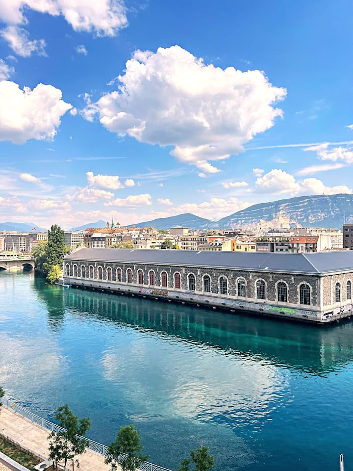Appartement Centre-ville Genève - Geneva