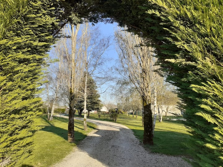 Nidoison Un Gîte De 55 M2  (2 Personnes) - Artenay