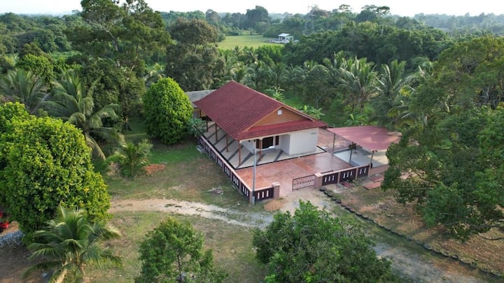 Rumah D’kebun - Bukit Payong