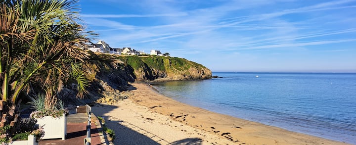 Appartement Face Mer 4 P Et Un Enfant Dans Canapé - Donville-les-Bains