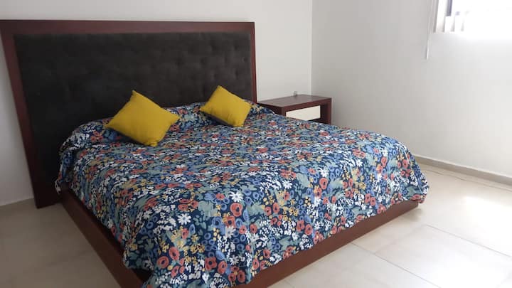 Amplia Y Céntrica Casa Todo En Planta Baja - San Luis Potosí