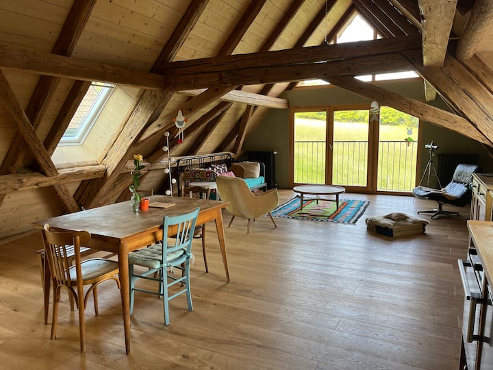 Ancienne Ferme Rénovée éCologiquement - Turckheim