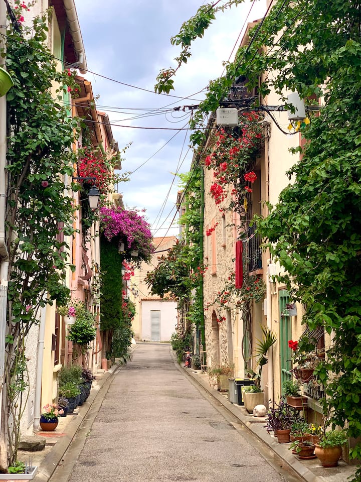 Maison D'artiste Dans Le Coeur D'argeles - Argelès-sur-Mer