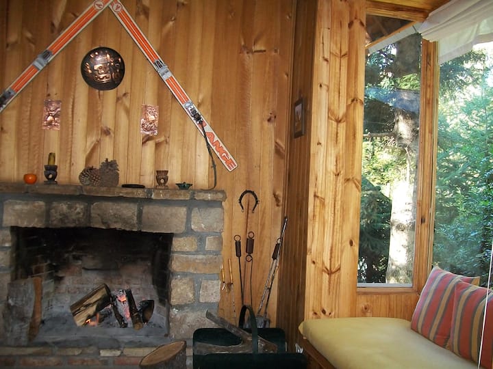 Ample Cozy Cabin In Quiet Area
