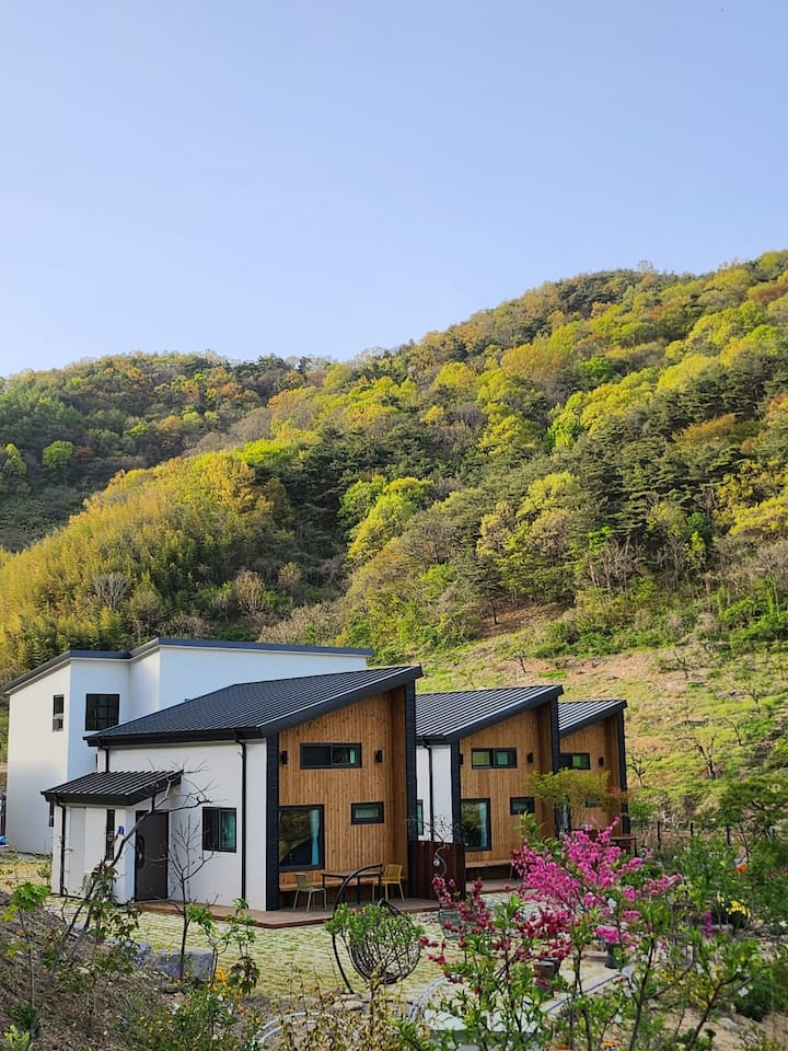 청도예사랑-매화나무집 - 경산시