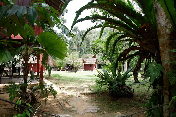 Room 3 @ Jungle Zen Camping Site - Bentong
