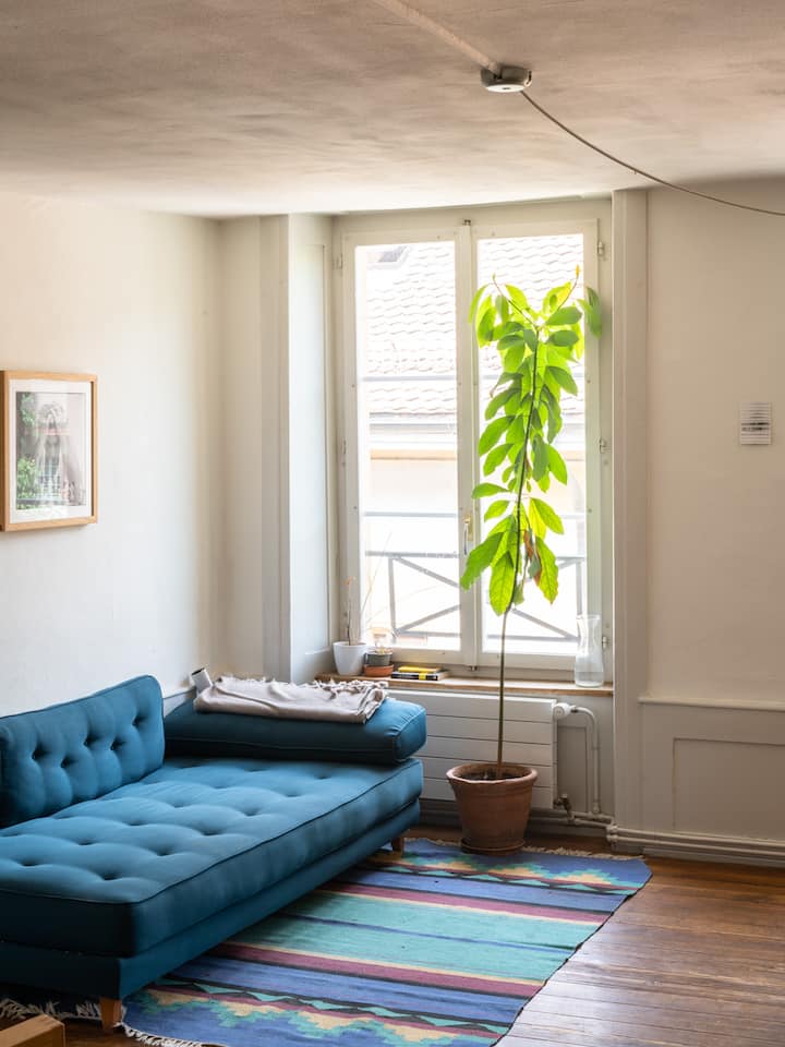 Biel/Bienne Vacation Rentals & Homes - Canton of Bern, Switzerland | Airbnb