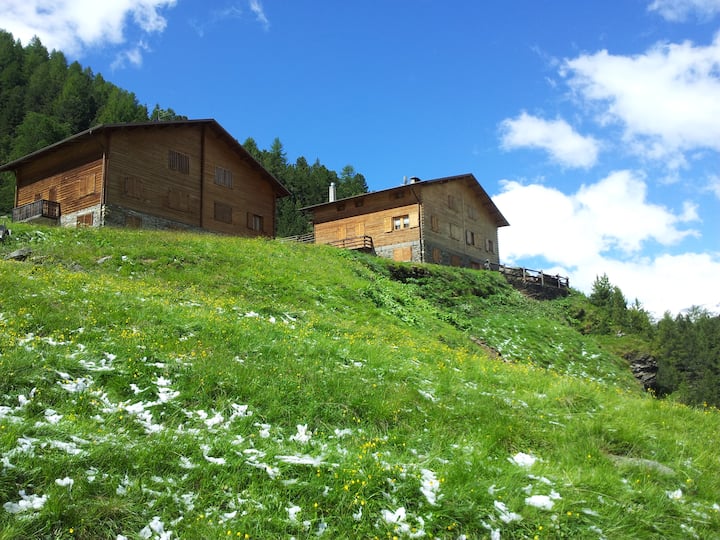 Baita Tresero Chiuso In Inverno, Riapre A Giugno - Italy