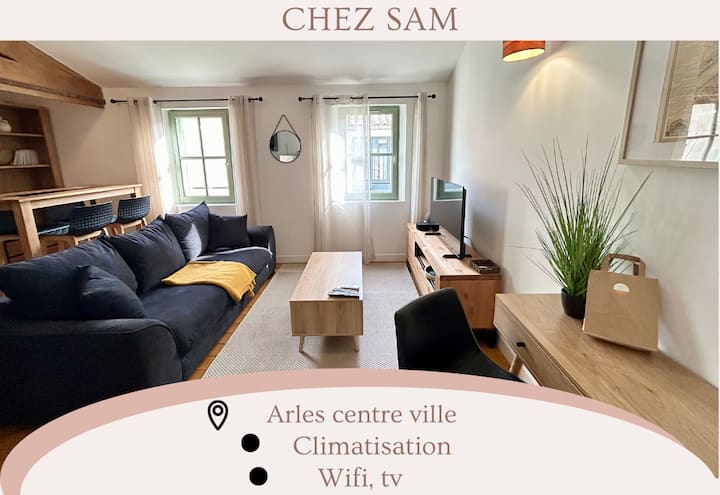 "Chez Sam"*centre Ville*arles*calme Et Climatisé - Arles