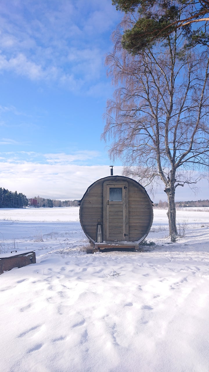 Koe Talven Satumainen Tunnelma Ja Maaseudun Rauha! - Laitila