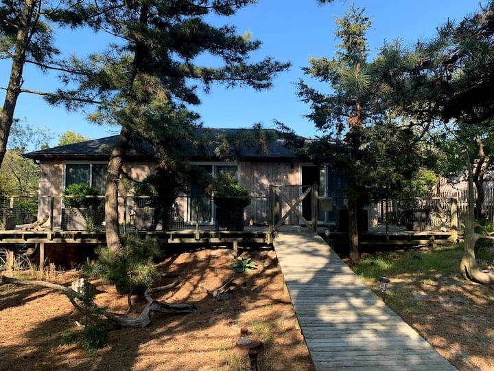 Fire Island Pines 3bed, 2bath, Pool+hottub+ac - Fire Island, NY