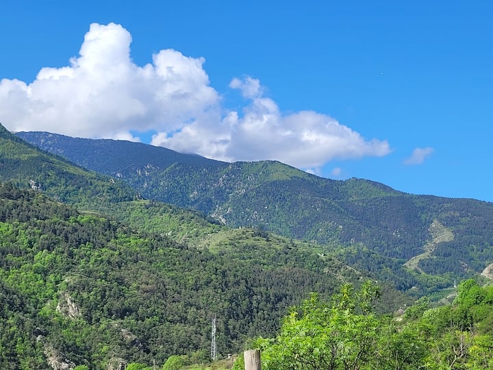 Gîte Aux Lys - Matemale