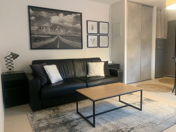 Magnifique Studio Avec Parking A 7 Min Des Plages - Cannes