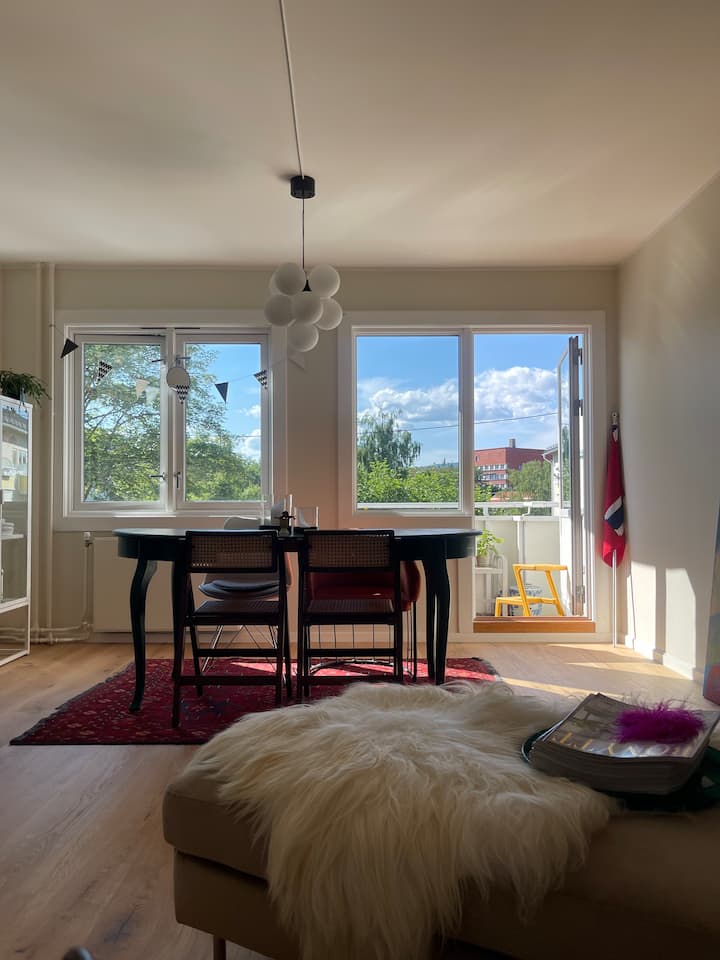 Koselig Og Lettvint Leilighet - Oslo