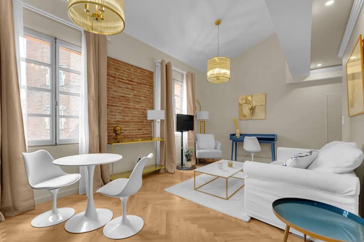 Luxueux Hotel Particulier Plusieurs Appartements - Toulouse