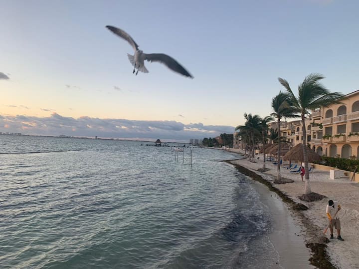 1 Bedroom Pool View - Isla Mujeres