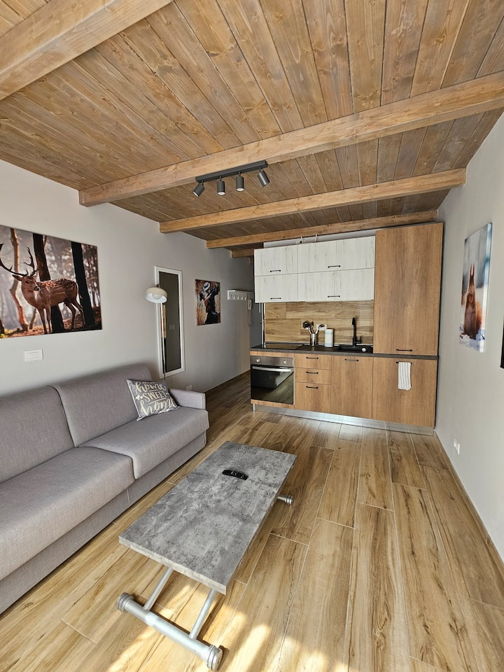 Moda Apartments 69, 4 Posti, 200 Mt Dalle Piste. - Sestriere