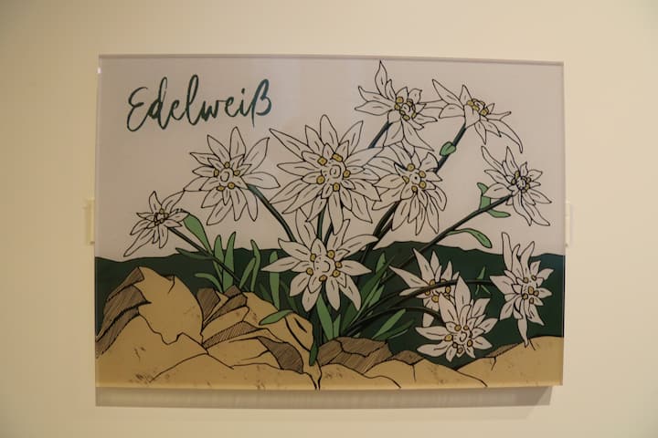 Ferienwohnung Edelweiß - Unterammergau