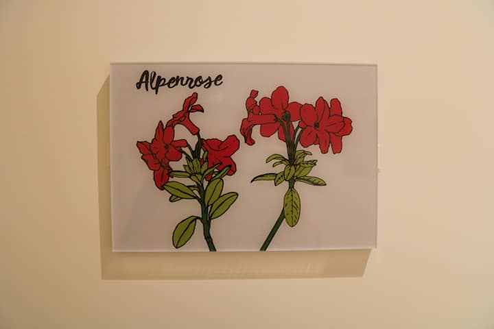 Ferienwohnung Alpenrose - Ettal