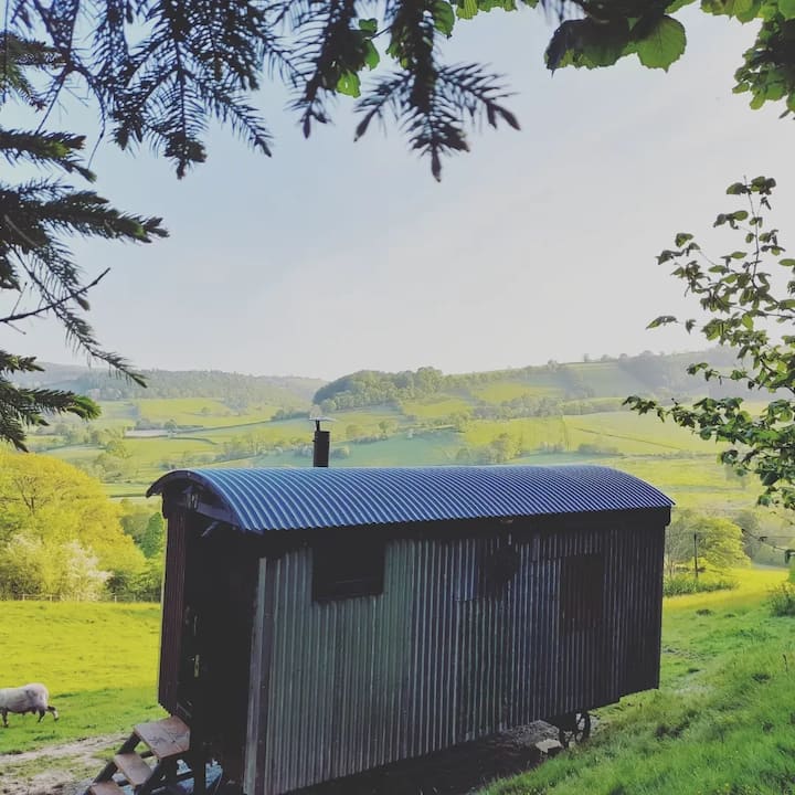 Cosy Hut On Wild Welsh Hillside. - North Wales