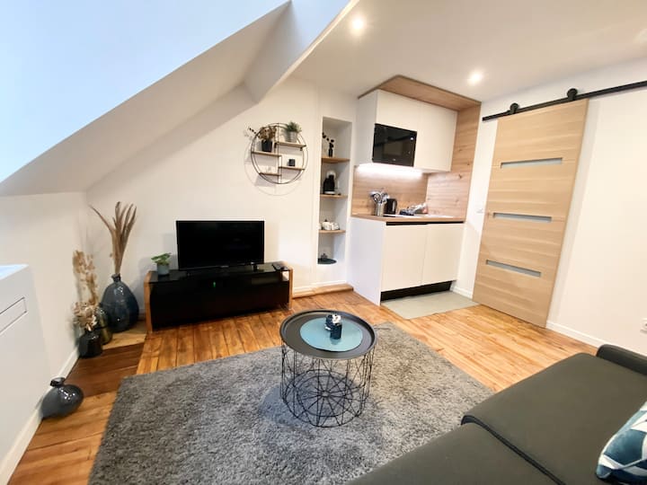 Studio Cocooning Grenoble - Grenoble