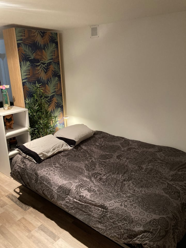 Chambre Sdb Privées 40m2,garage,proche Gare¢re - Clermont-Ferrand