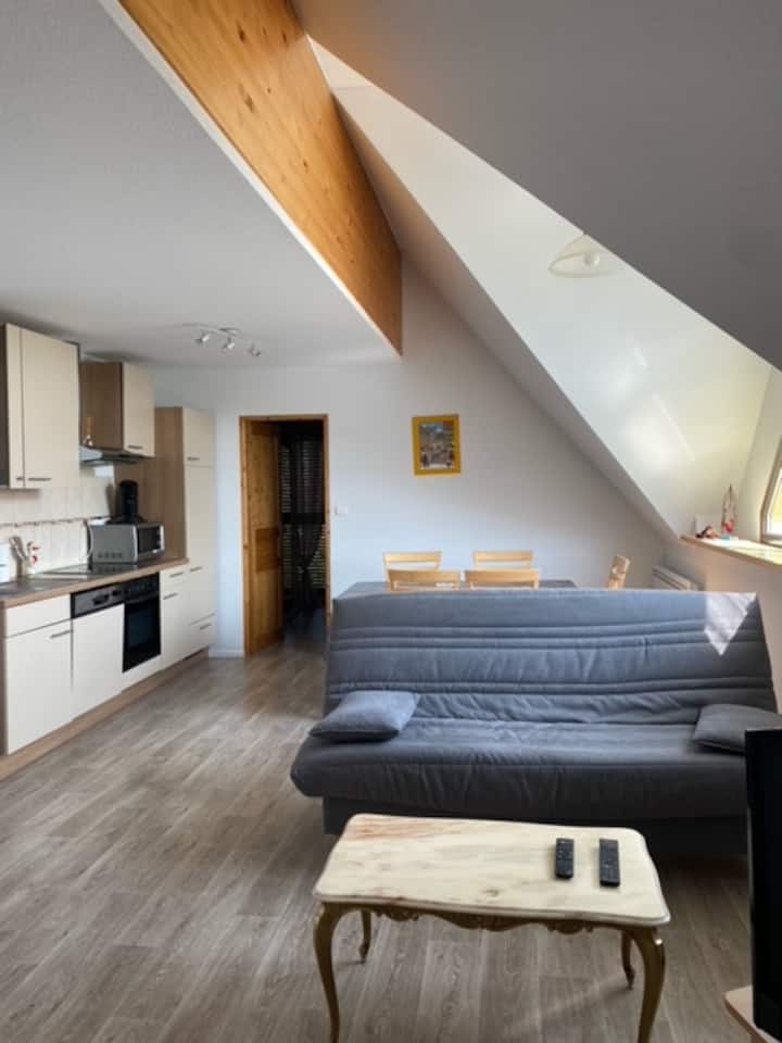 Location Vacances Ribeauvillé - Ribeauvillé
