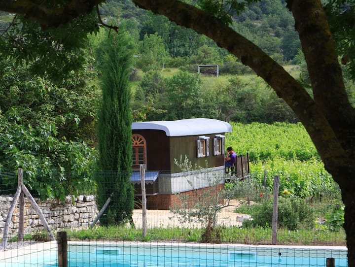 Roulotte Domaine De Peyre Brune - Le Bois de Païolive