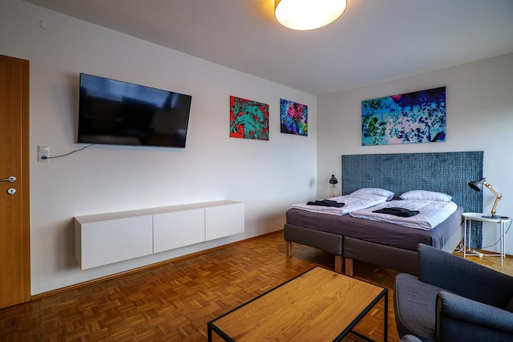Schönes Und Geräumiges Xxl Apartment - 格拉茨