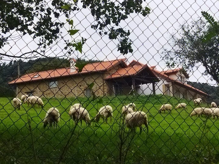 Casa Rural Castro Urdiales
"El Alto Del Fresno" - Castro Urdiales