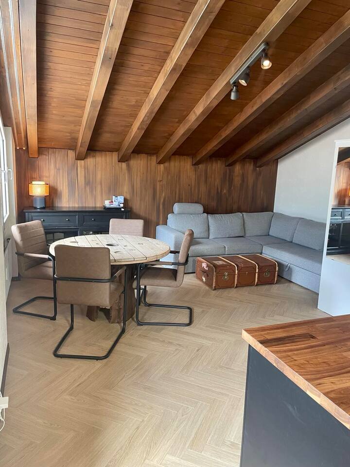 Modern Apartment With A View - Meiringen