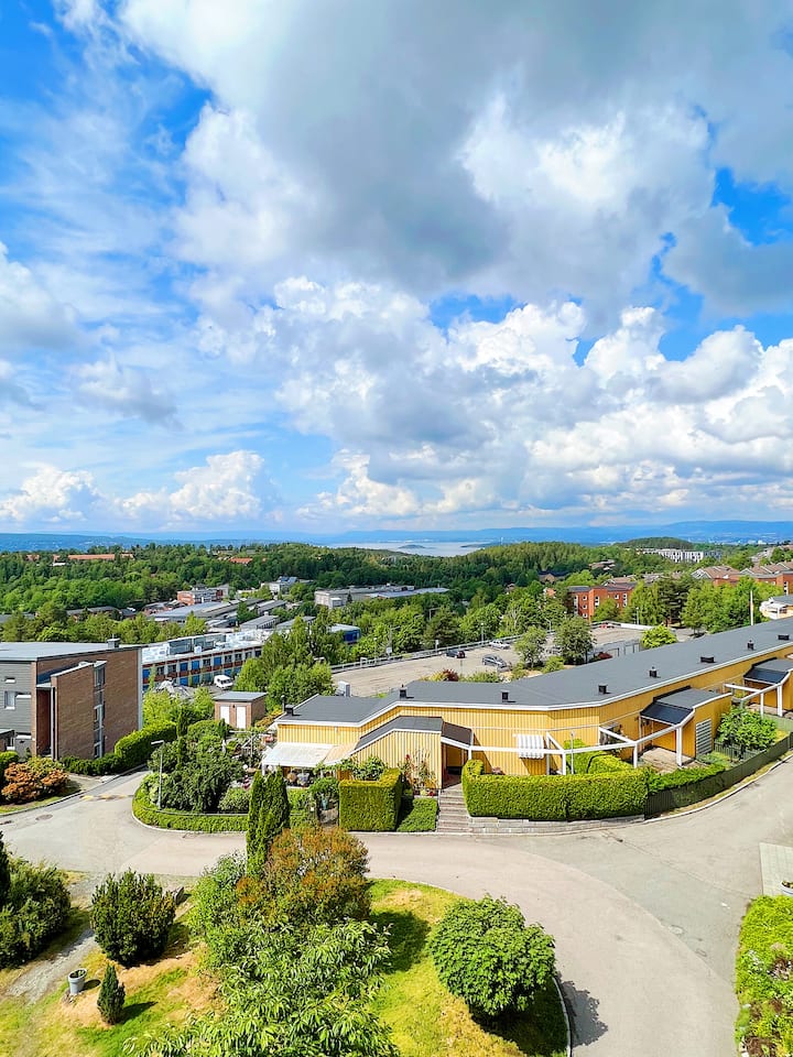Leilighet Med Fantastisk Utsikt - Oslo