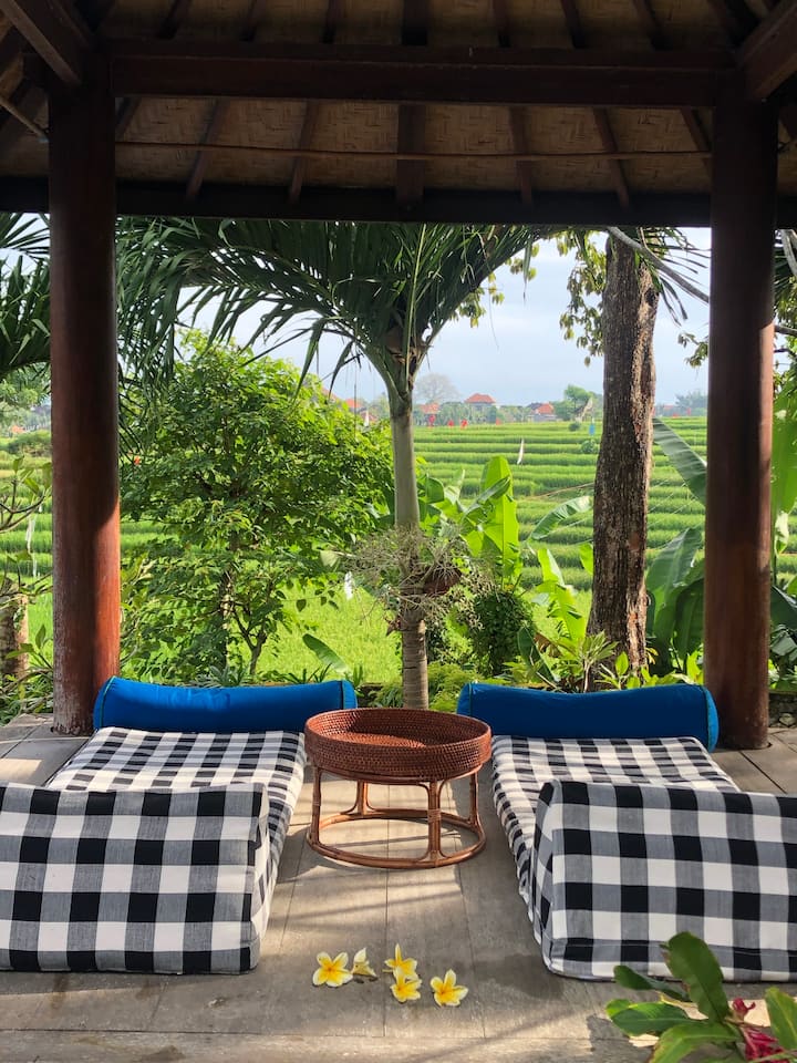 Bali Canggu Ricefield Dream 25m Pool - Canggu